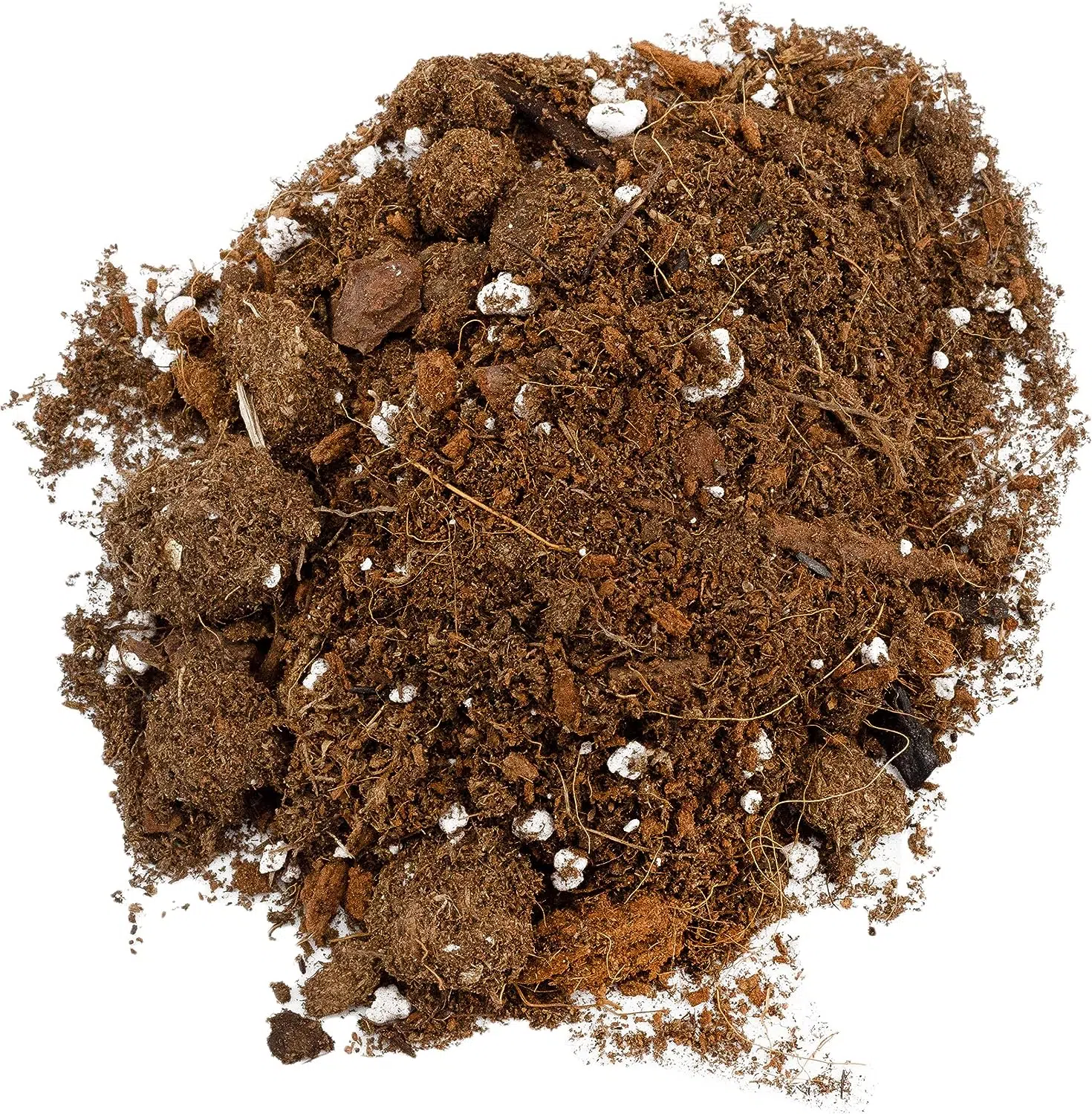 Monstera Adansonii Soil Recipe: How To Create The Perfect Mix For Your ...